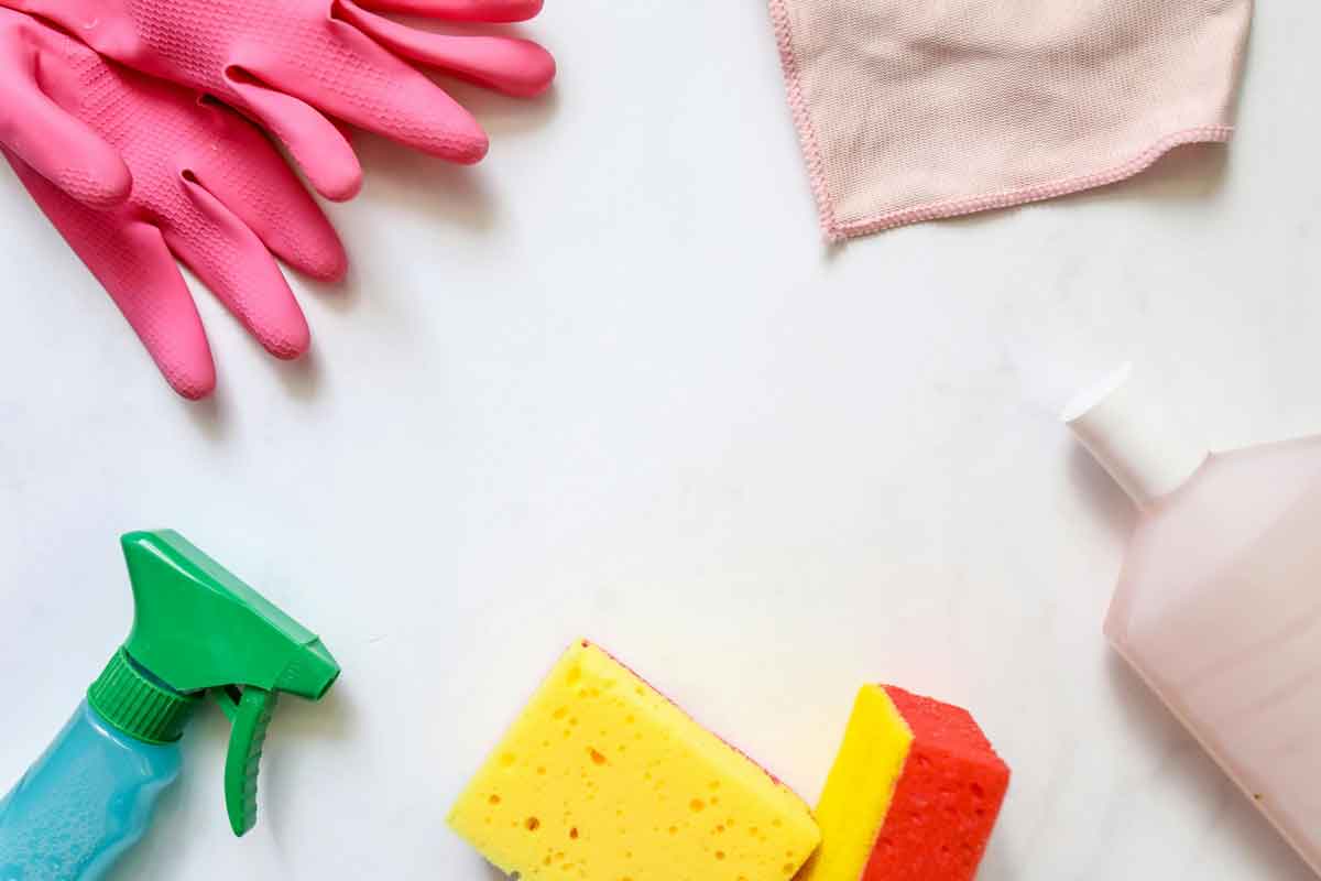 EcoLogic Solutions: Safe, Green Cleaning | Eco-Building Products | Eco ...