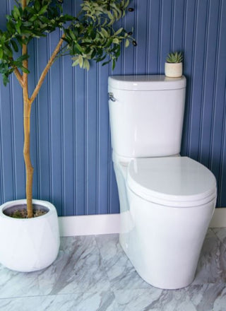 Caroma Somerton Smart (Lever) Dual Flush Toilet | EBP | Eco-Building ...